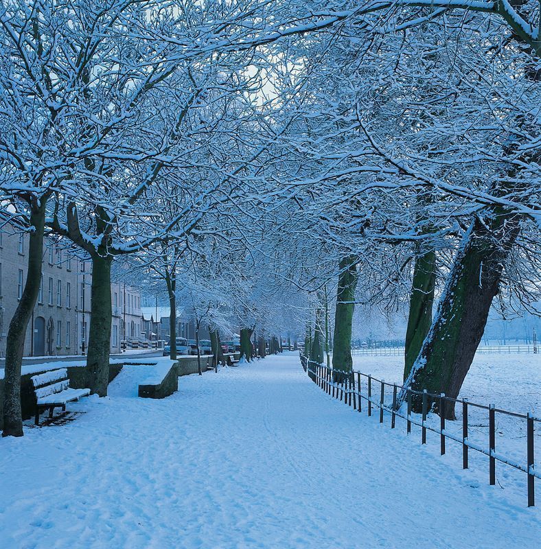 saison hiver - Page 10