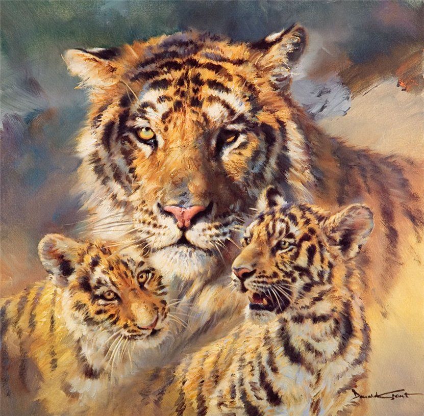 belles images animaux sauvages - Page 14